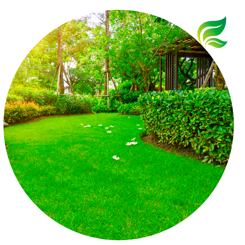 Santiago’s Lawn Care and Landscaping - Reliable Landscaping Services